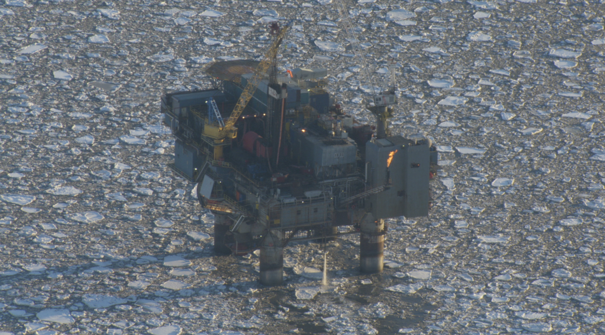 Cook Inlet Project - Ocean Conservation Research
